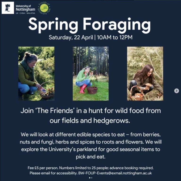 Standard Bedroom – student room at UPP Broadgate Park - official ...